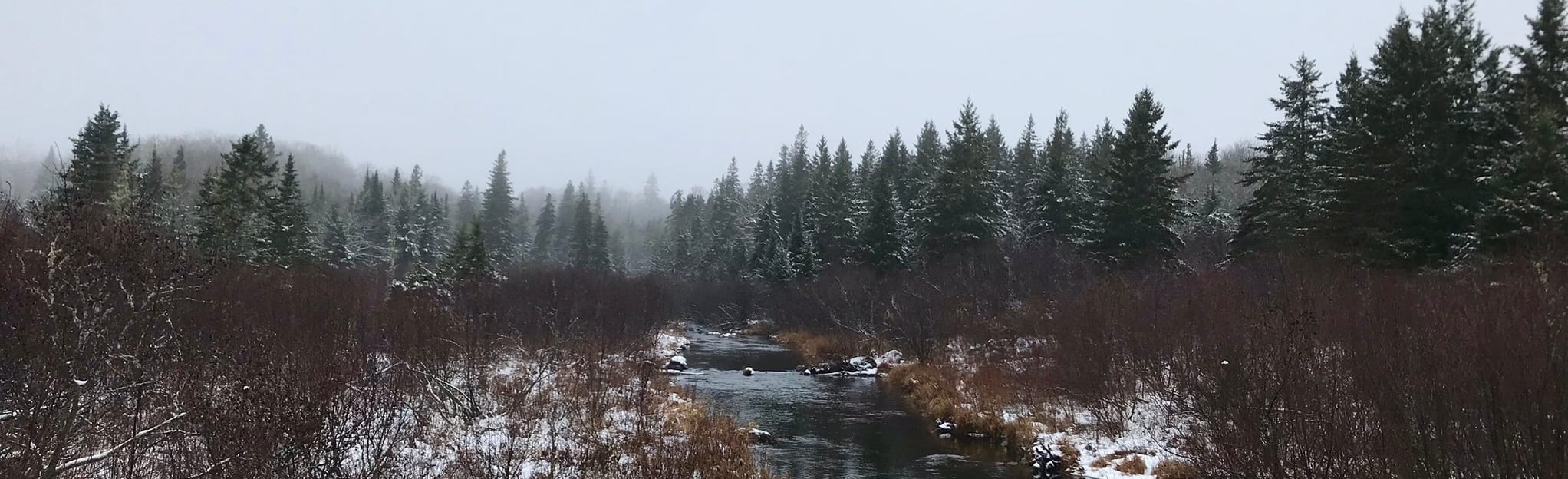 Sandy Cope Loop - Nova Scotia, Canada | AllTrails