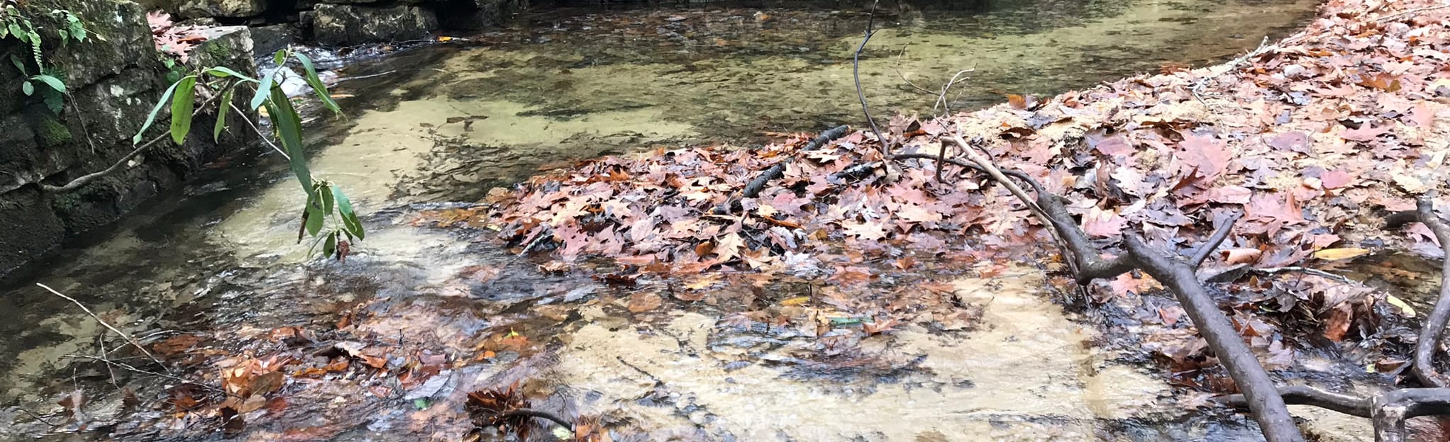 AllTrails | Crystal Springs Loop: 226 Reviews, Map - Virginia