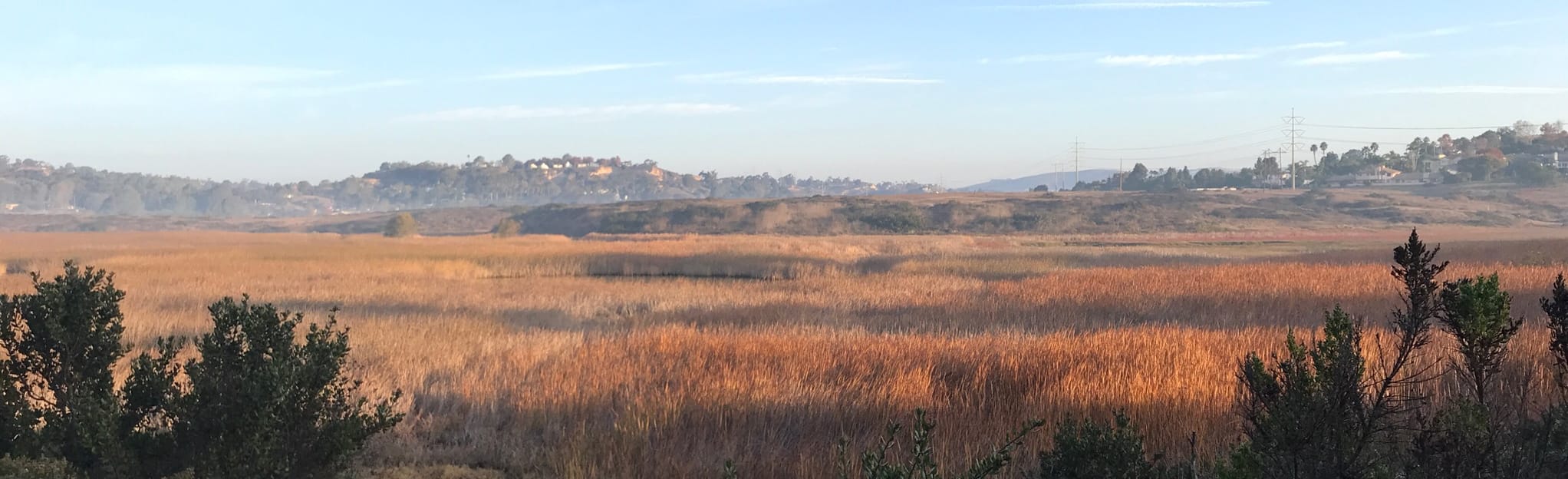 Tern Point, California - 156 Reviews, Map | AllTrails