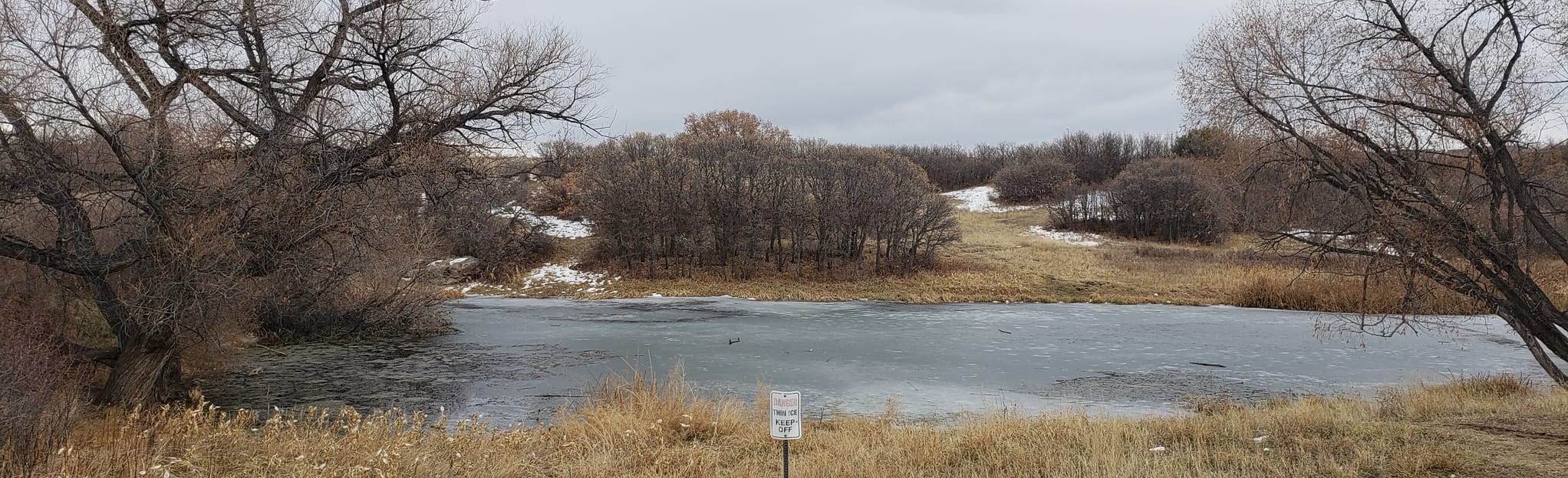 Mitchell Creek Trail, Colorado - 49 Reviews, Map | AllTrails