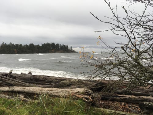 2023 Best 10 Easy Trails in Metchosin | AllTrails