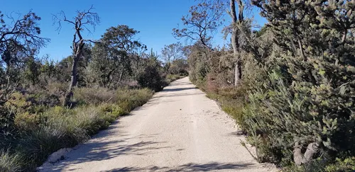 Best Hikes and Trails in Pinjar Park | AllTrails