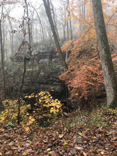 Best Hikes and Trails in Stephens Gap Callahan Cave Preserve | AllTrails