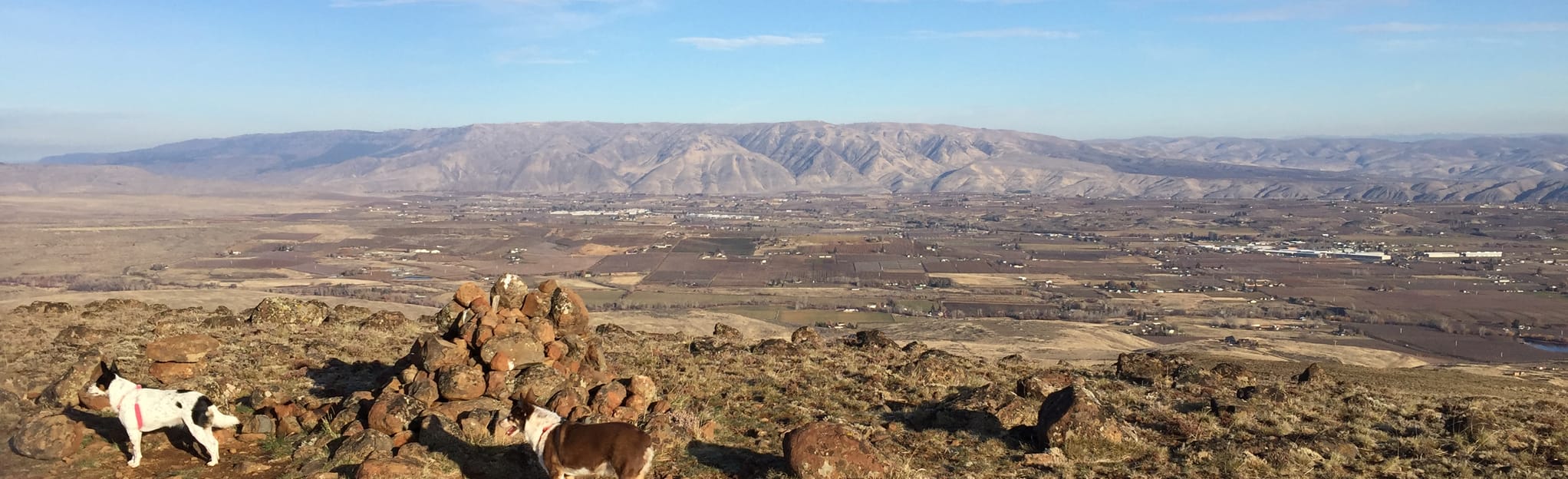 Cowiche Mountain via William O Douglas Trail [CLOSED]: 87 Reviews, Map ...