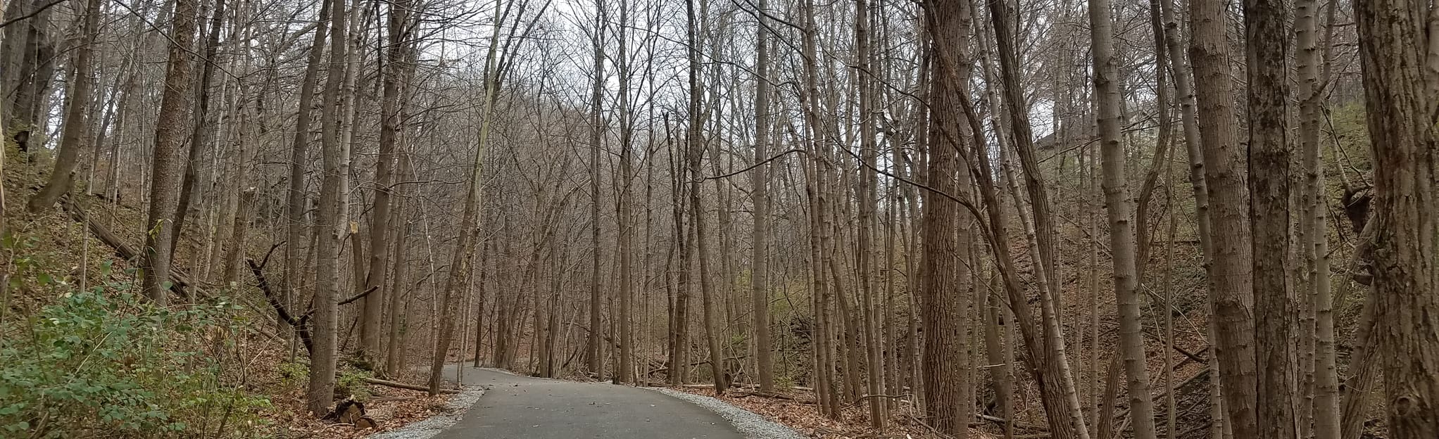 Trolley Line Trail: 248 Reviews, Map - Indiana | AllTrails