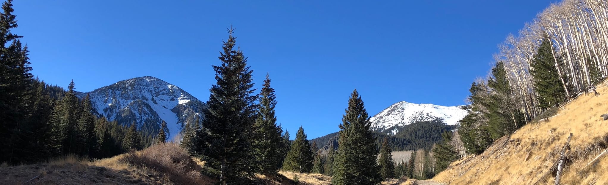 Doyle Spring via Inner Basin Trail, Arizona - 164 Reviews, Map | AllTrails