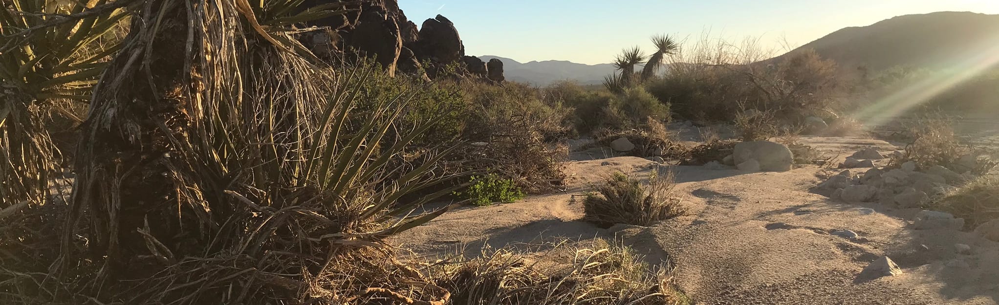 Conejo Well and Eagle Mountains Trail, California - 49 Reviews, Map ...