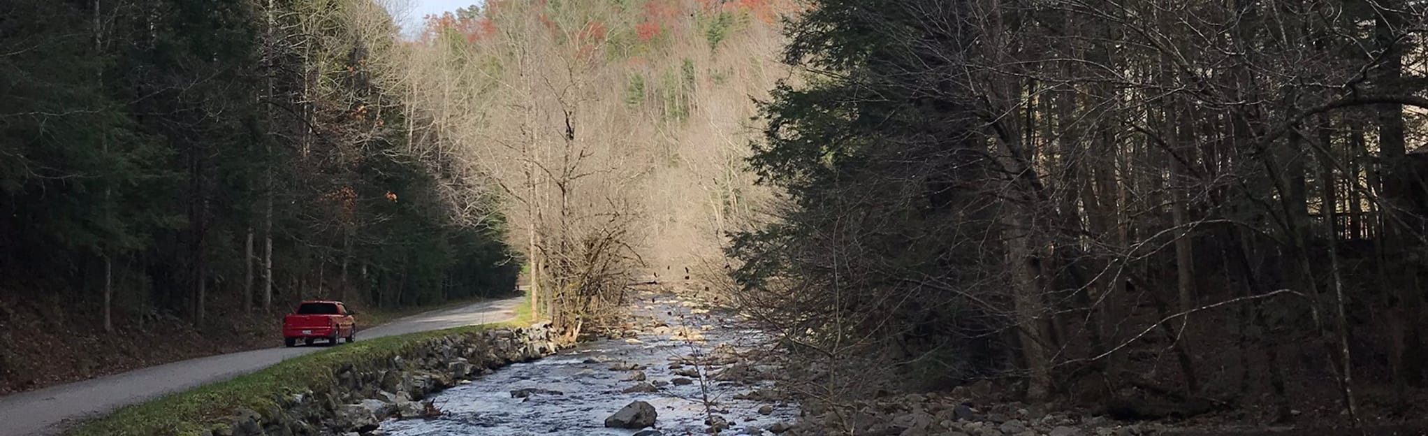 Tremont Logging History Auto Tour: 123 Reviews, Map - Tennessee | AllTrails