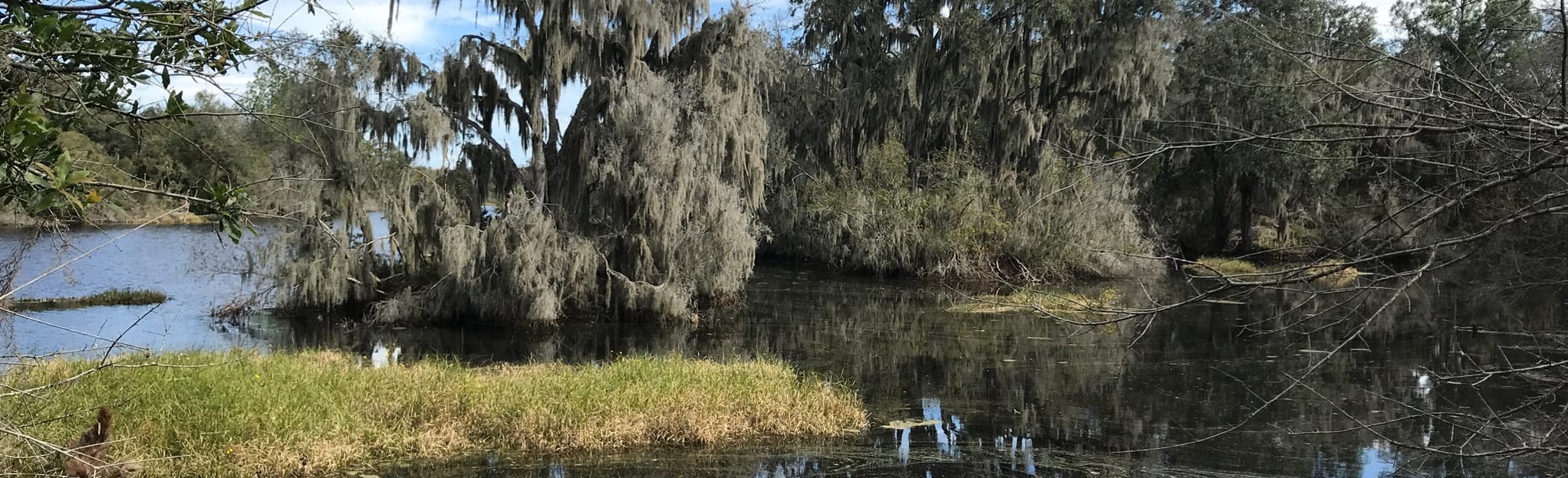 Alafia Horseback Loop, Florida - 246 Reviews, Map | AllTrails