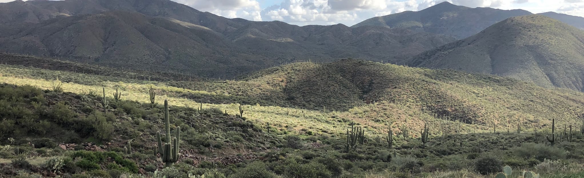 Cottonwood to Skull Mesa Trail, Arizona - 564 Reviews, Map | AllTrails