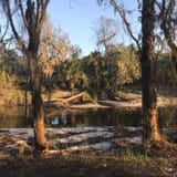 Peace River Canoe Route, Florida - 26 Reviews, Map | AllTrails