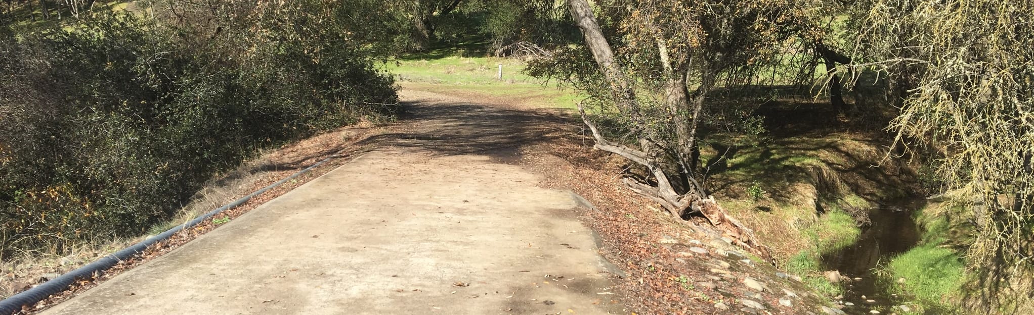 Sailor Bar Trail, California - 494 Reviews, Map | AllTrails