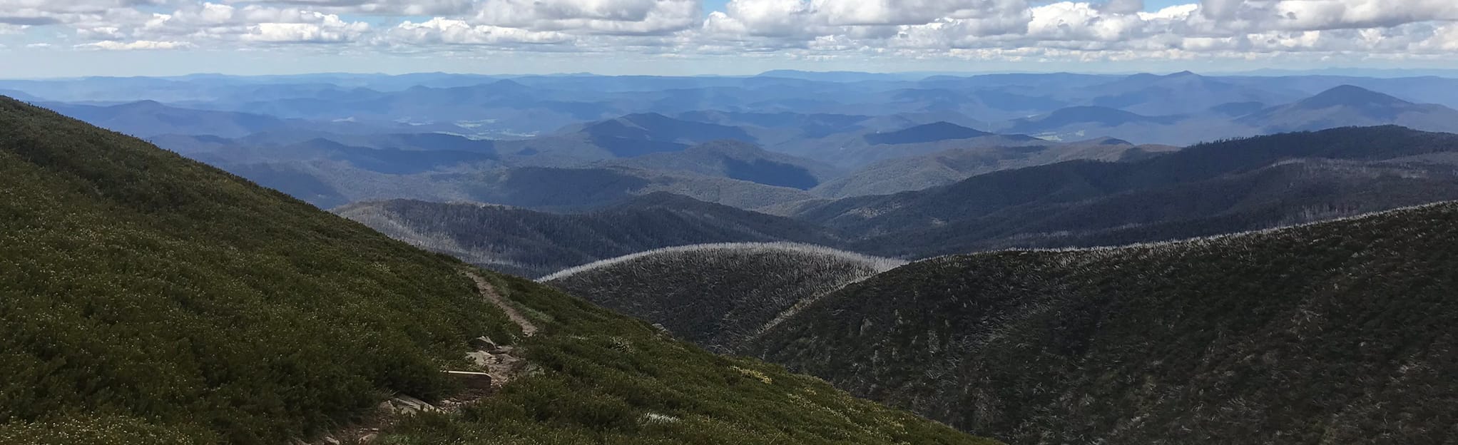 Big River Fire Trail, T Spur and The Staircase: 431 foto's - Victoria ...