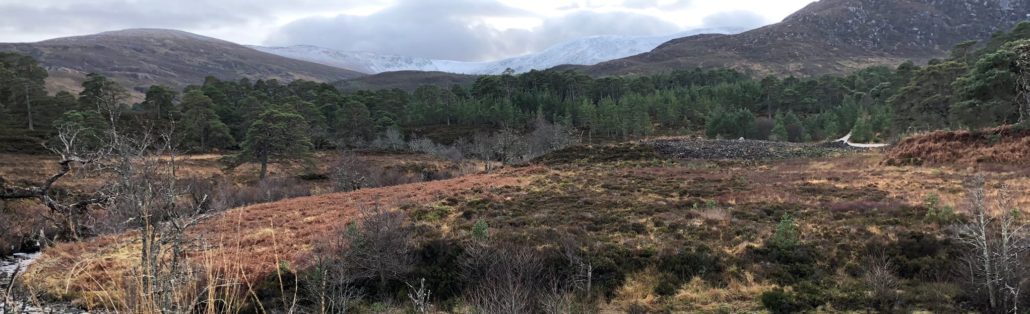 Loch Affric, Highlands, Scotland - 12 Reviews, Map | AllTrails