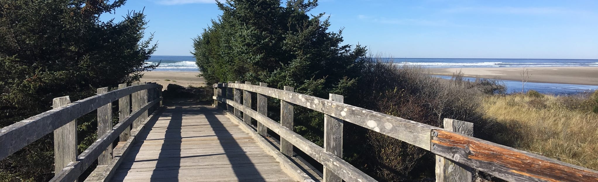 Ona Beach to Seal Rock, Oregon - 210 Reviews, Map | AllTrails