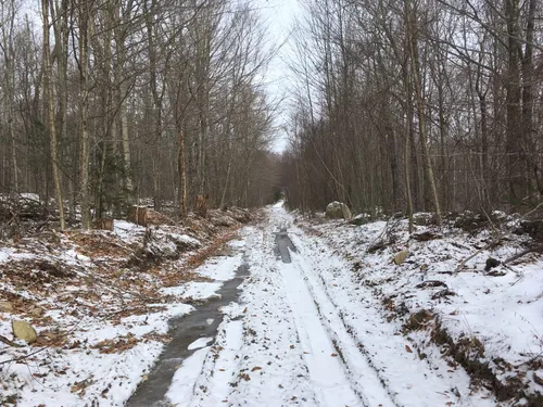 Best Hikes and Trails in Granville State Forest | AllTrails