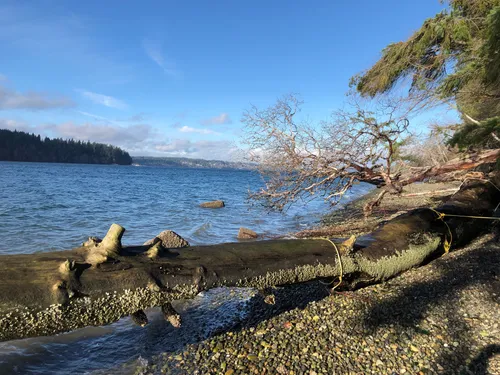10 Best Trails and Hikes in Bainbridge Island | AllTrails