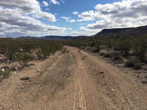 2023 Best Mountain Biking Trails in Big Bend Ranch State Park | AllTrails