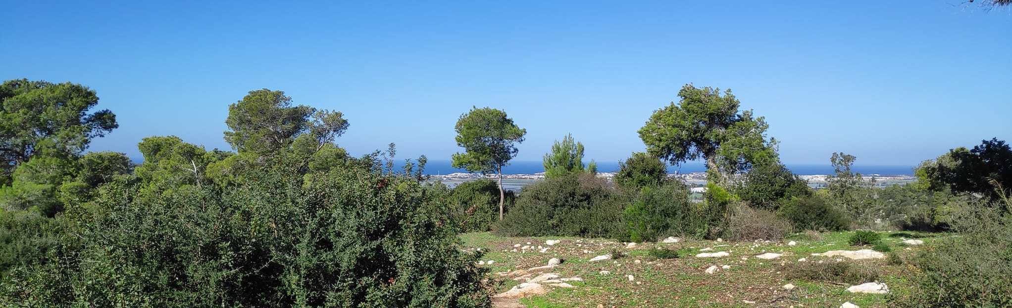 Carmel Beach Forest and West Kerem Maharal: 35 foto's - Haifa, Israël ...