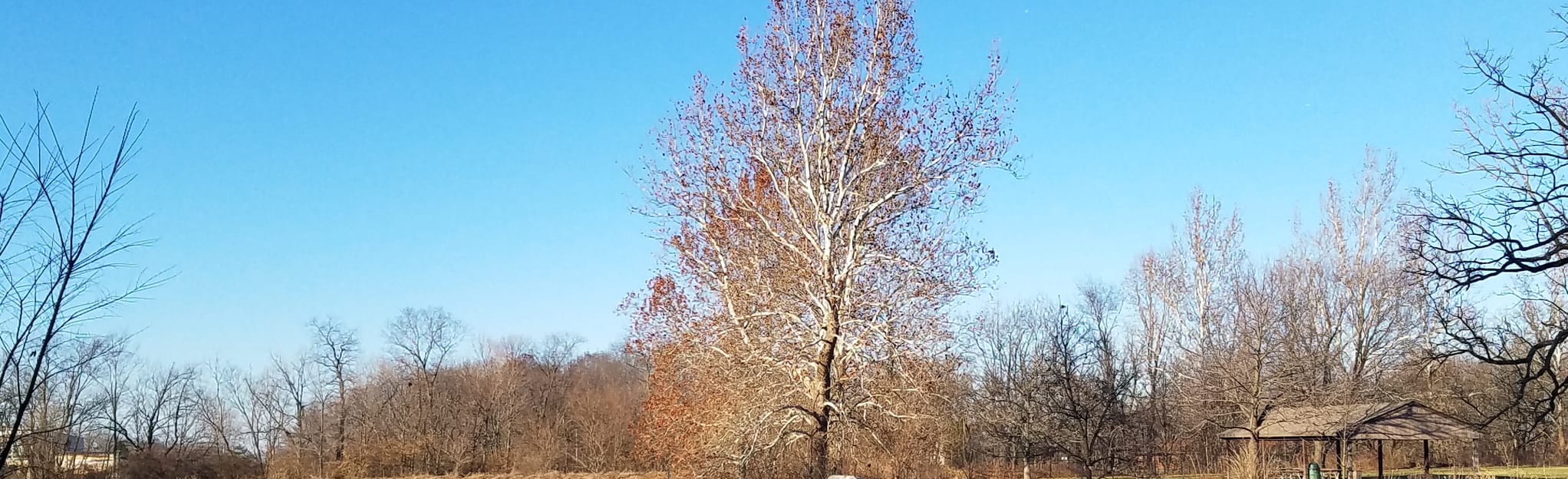 Harris Forest Preserve, Illinois - 103 Reviews, Map | AllTrails