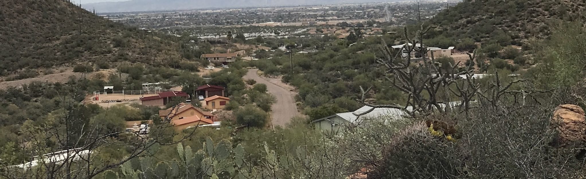 Rocky 13 Trail and Creosote Loop Trail: 146 Reviews, Map - Arizona ...