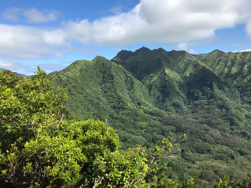 2023 Best 10 River Trails in Honolulu | AllTrails