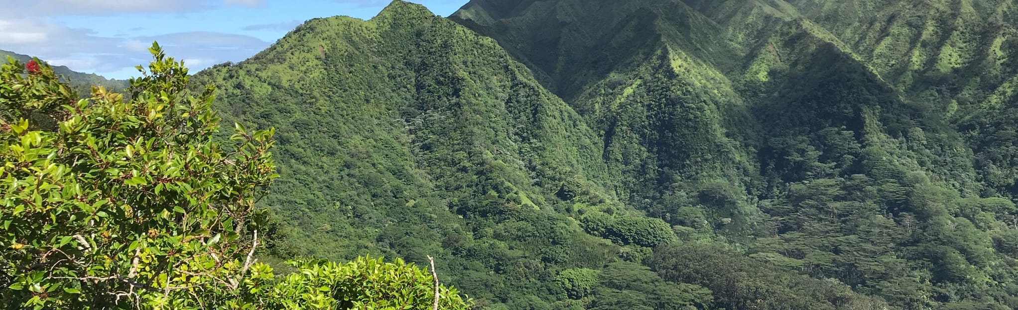 Manoa Cliff Trail to Manoa Falls, Oahu, Hawaii - 270 Reviews, Map ...