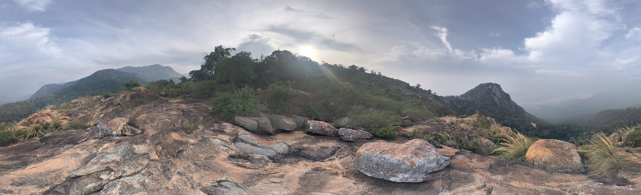 Yercaud Valley Trail , Tamil Nadu, India - 2 Reviews, Map | AllTrails