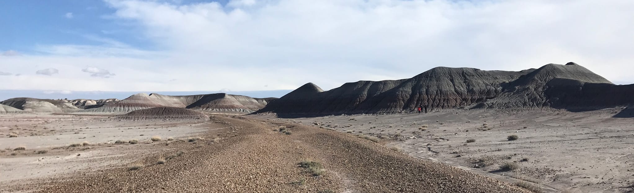 Historic Blue Forest Trail, Arizona - 815 Reviews, Map | AllTrails