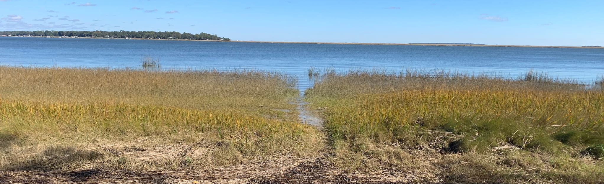 Moon River at Downing Piers, 447 Photos - Georgia | AllTrails