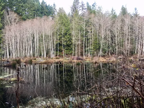 Best Hikes and Trails in Port Ludlow | AllTrails