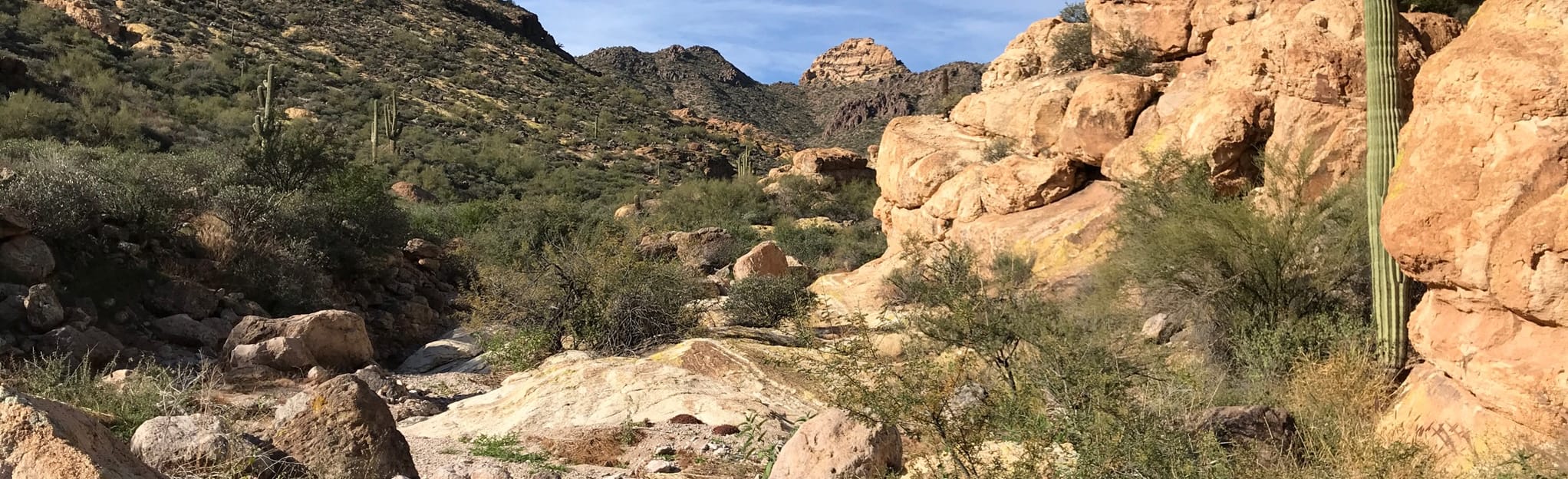 Triple Arch Trail, Arizona - 369 Reviews, Map | AllTrails