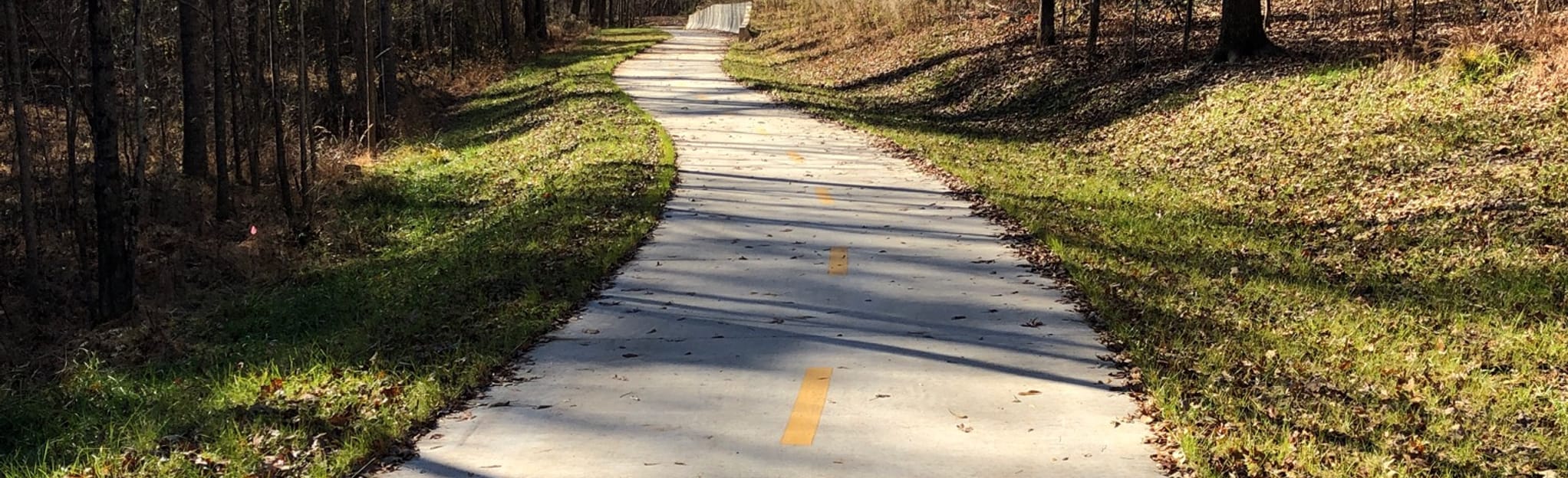 Wolf Creek Trail, Georgia - 49 Reviews, Map | AllTrails