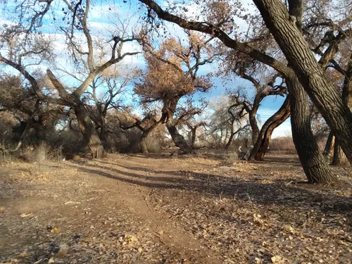 Best Hikes and Trails in Rio Rancho | AllTrails