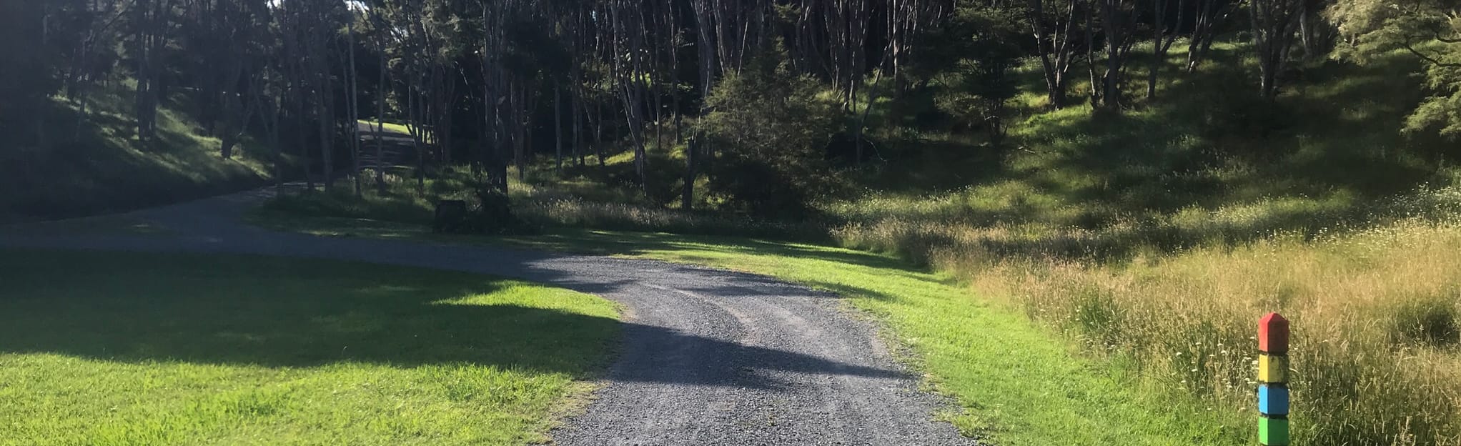 AllTrails | Waharau to Kohukohunui Loop: 3 Reviews, Map - Auckland, New ...