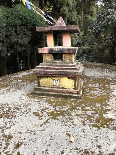 Best Hikes and Trails in Senchal Wildlife Sanctuary | AllTrails