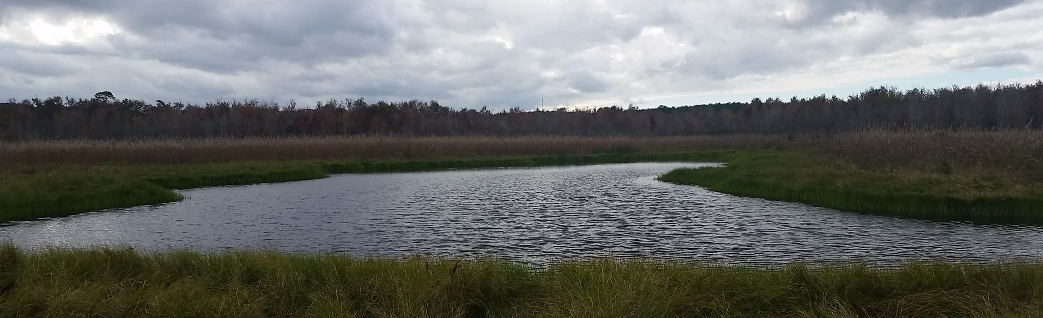 Clay Island Loop, 438 Photos - Florida | AllTrails