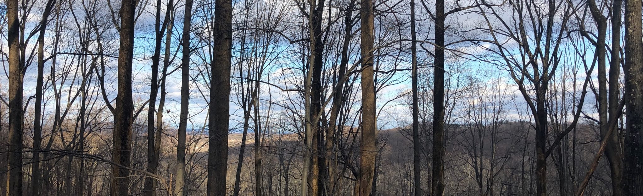 Grand Loop, Yellow Trail, and Aqueduct Trail, New Jersey - 124 Reviews ...