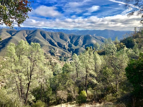 2023 Best Forest Trails in Soledad | AllTrails