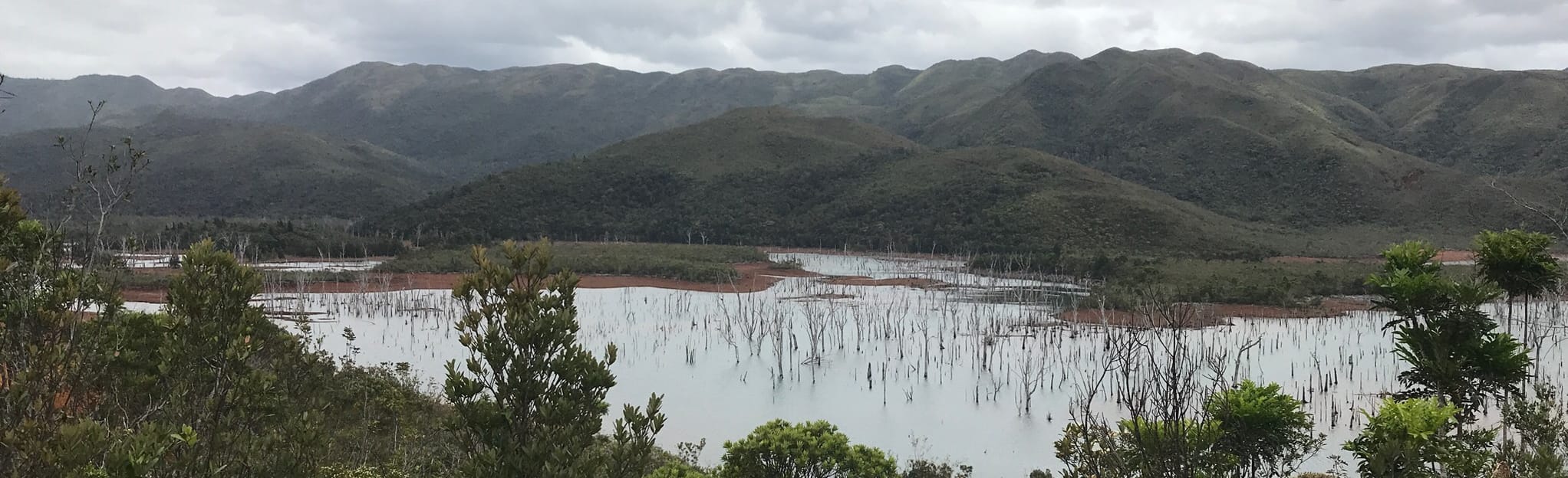 Piste de la Rivière Bleue et Sentier des Notophagus: 4 Reviews, Map ...