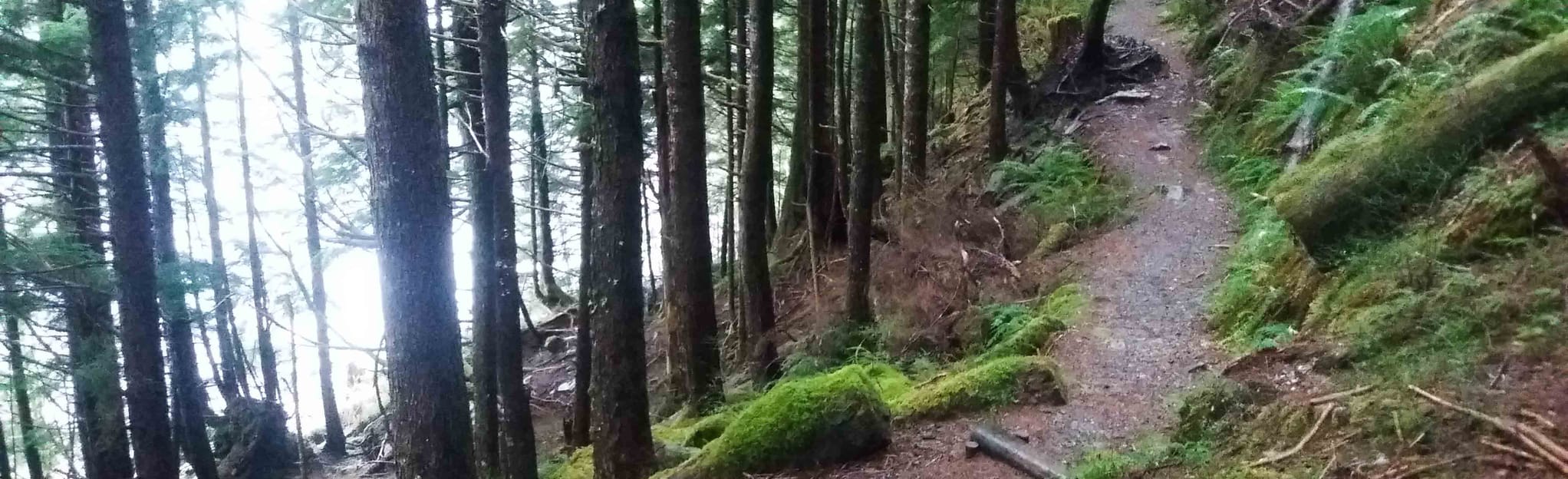 Connell Lake Trail: 66 Reviews, Map - Alaska | AllTrails