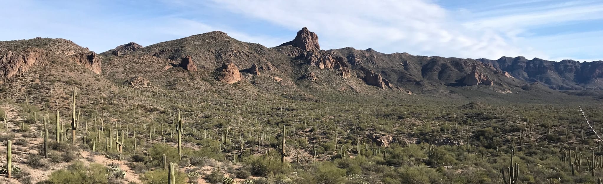 Peralta, Bluff Springs, and Dutchman's Trail: 35 Reviews, Map - Arizona ...