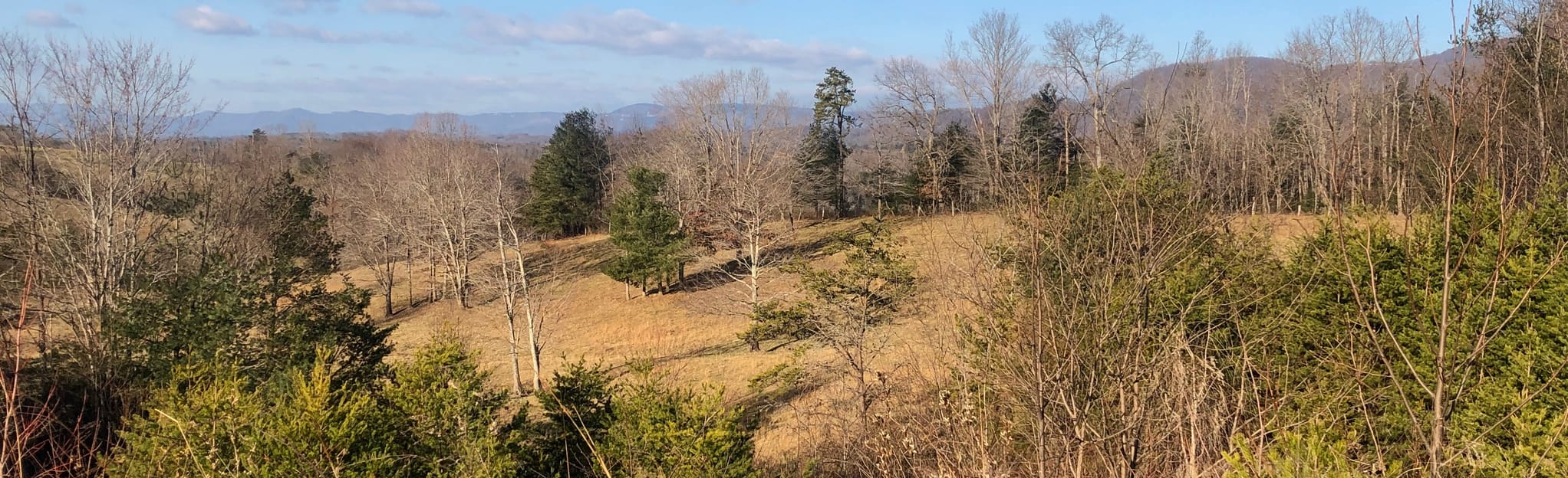 Dan River Park Walking Path, Virginia - 4 Reviews, Map | AllTrails