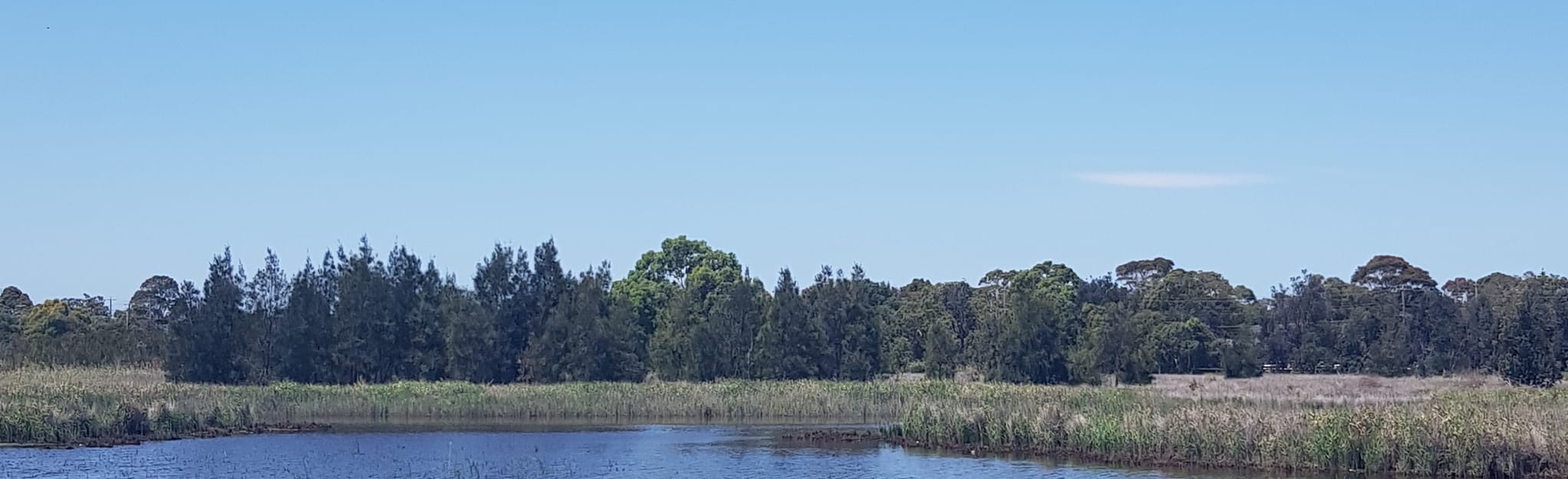 Edithvale-Seaford Wetlands Trail: 130 Reviews, Map - Victoria ...