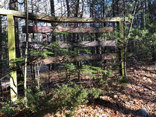 Best Hikes and Trails in Cadwell Memorial Forest | AllTrails