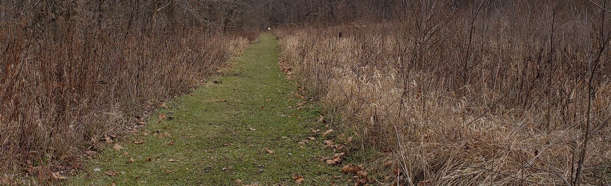 Meadow Loop Trail | Map, Guide - Ohio | AllTrails