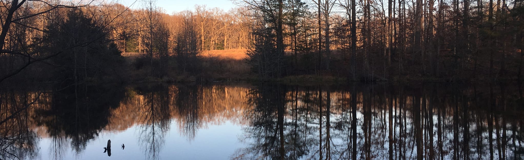 Hidden Pond via Mustang to Wood Thrush to Hidden Pond | Map, Guide ...