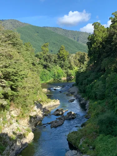 Best Hikes and Trails in Pelorus Bridge Scenic Reserve | AllTrails