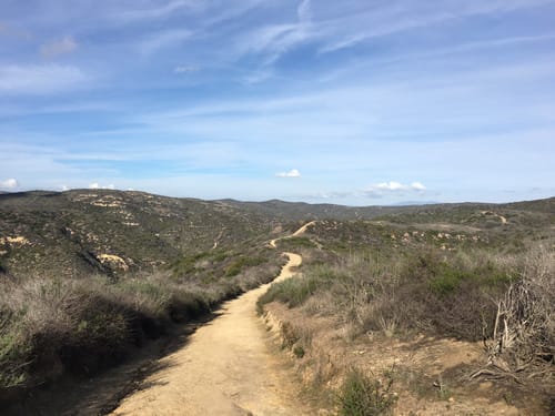 Best 10 Hikes and Trails in Laguna Coast Wilderness Park | AllTrails