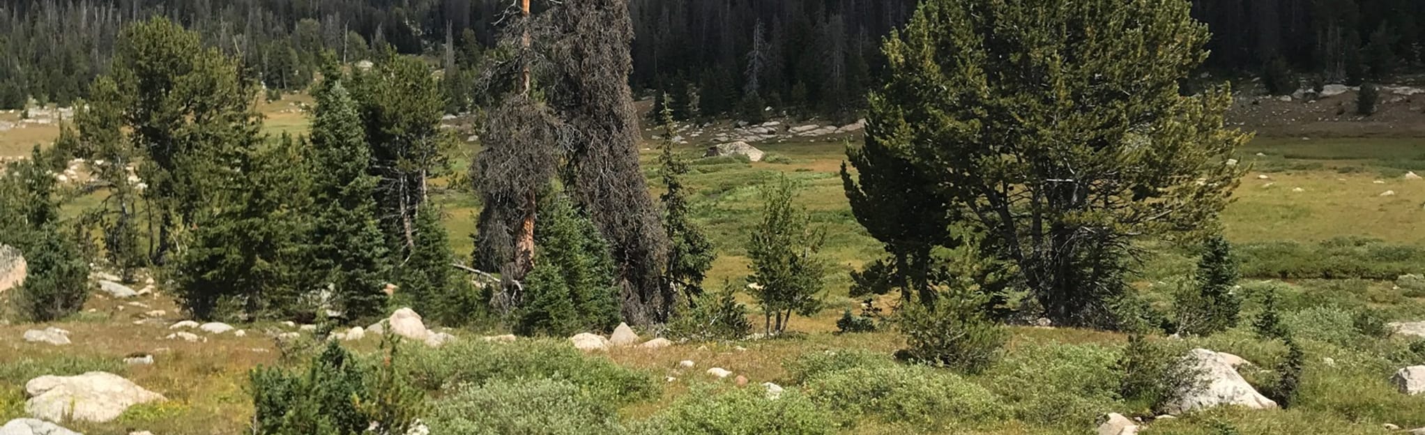 Becker Lake: 75 Reviews, Map - Montana | AllTrails